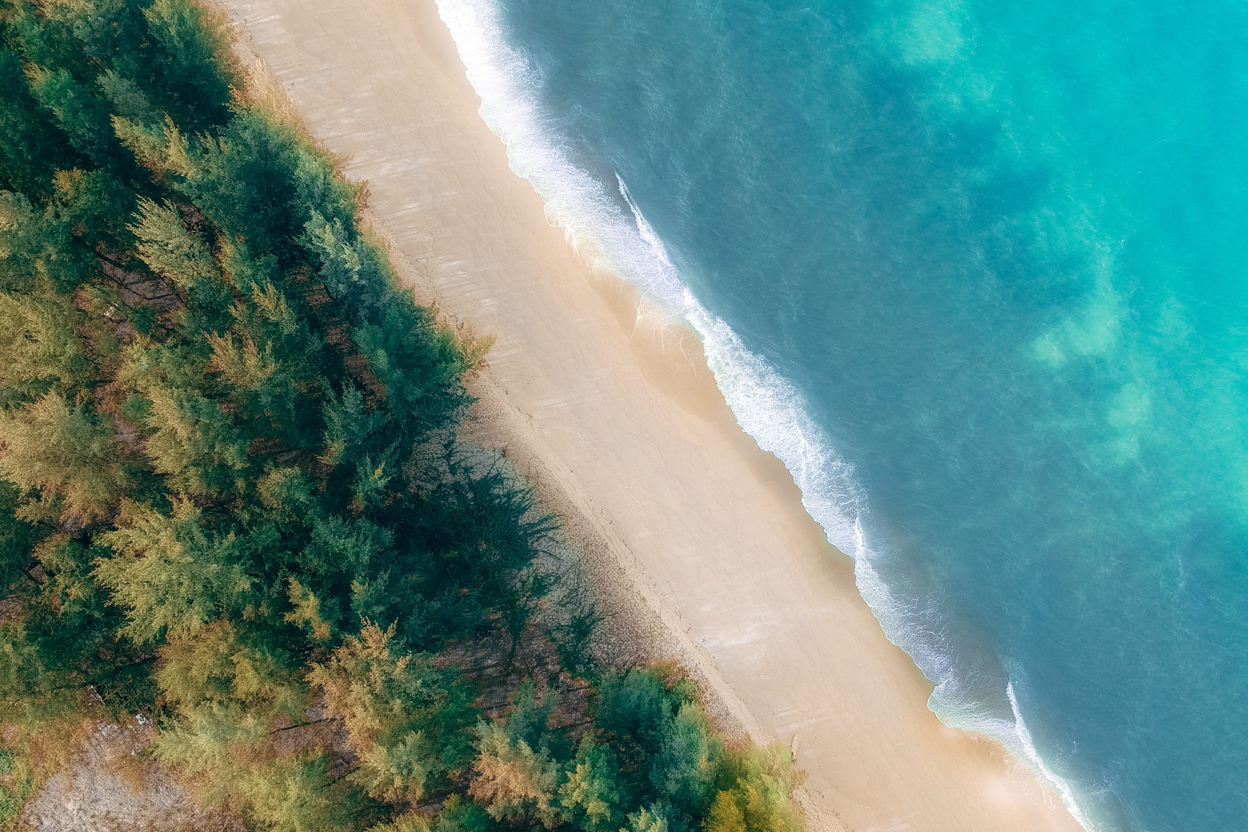 About reflexology - Juste pour elle becomes Zen'Océan